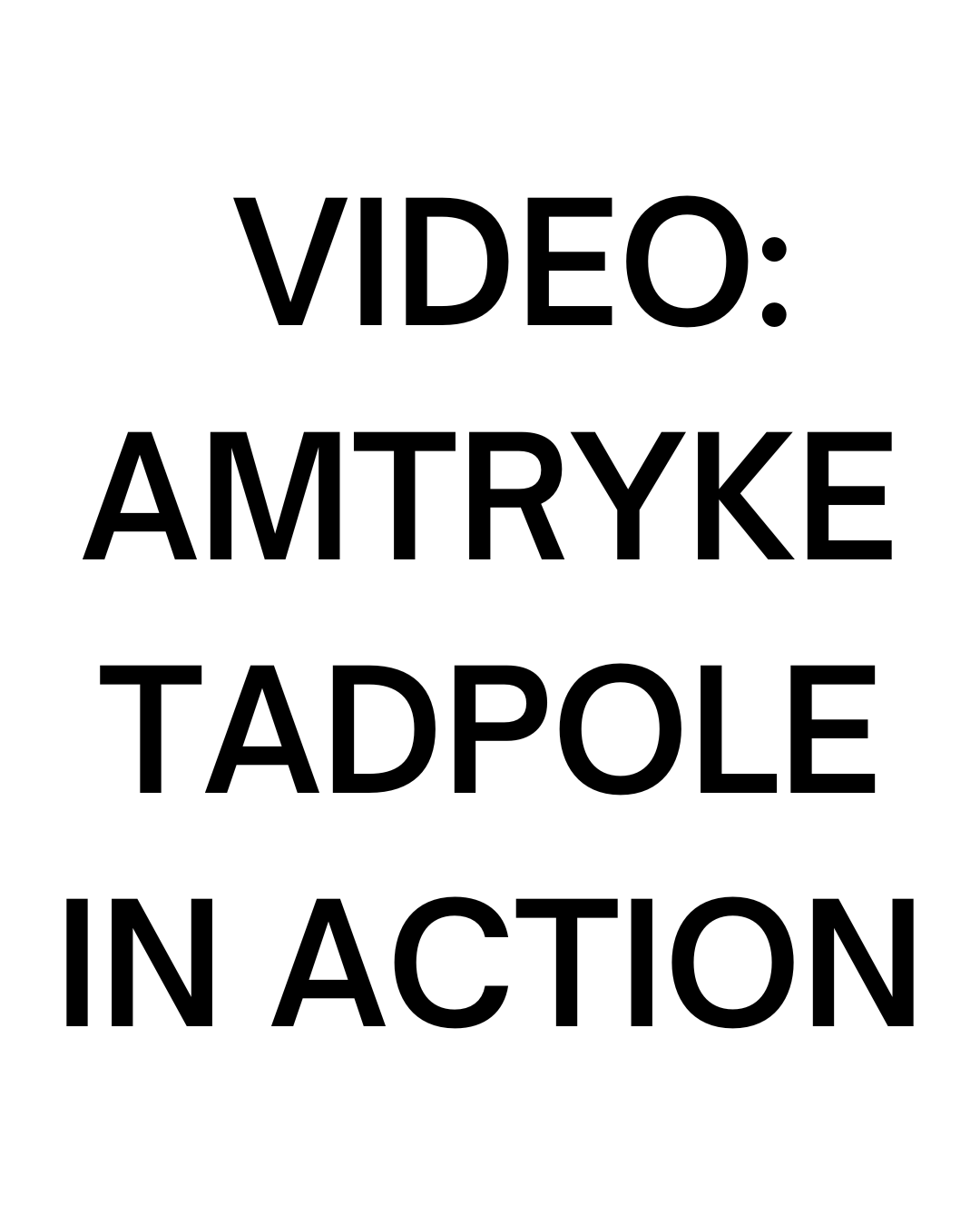 Amtryke® JT2300 | Recumbent Foot Adaptive Tricycle – Official Amtryke Store